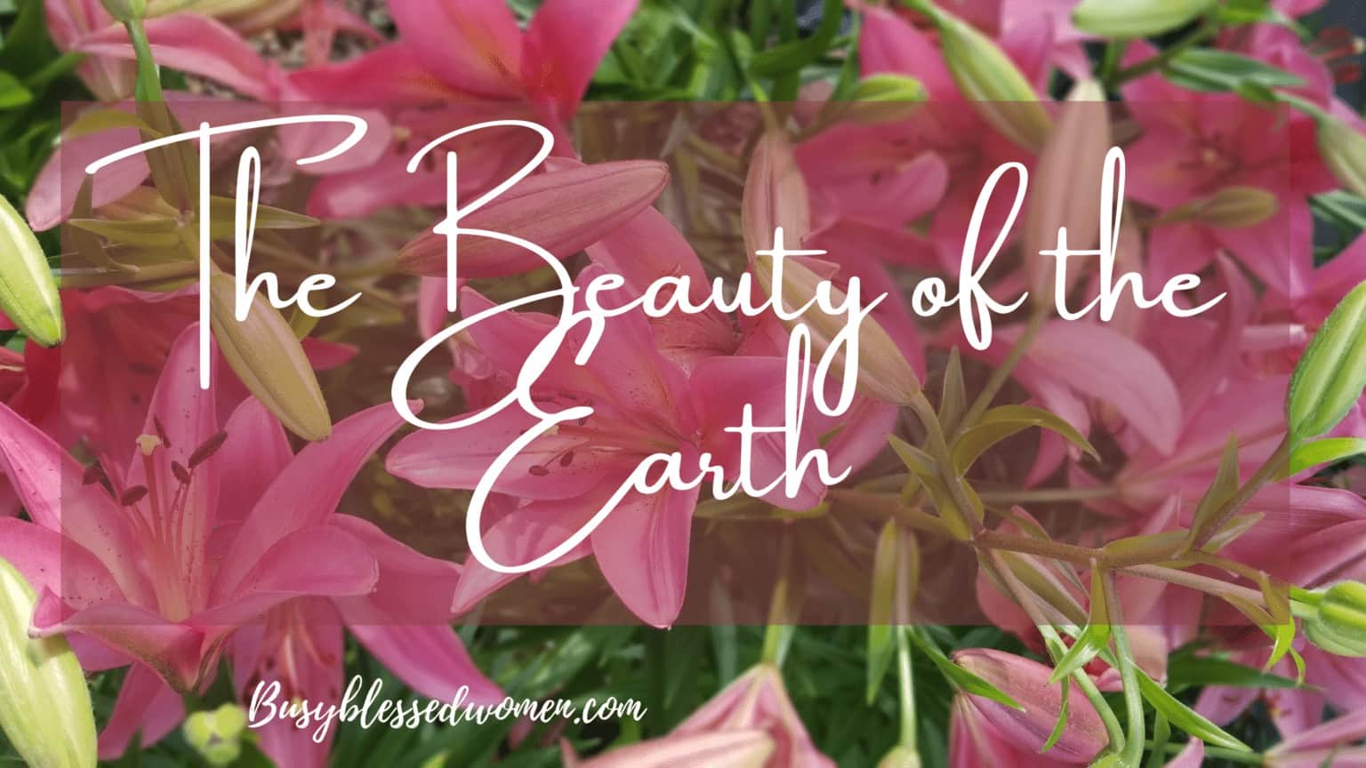 The Beauty of the Earth