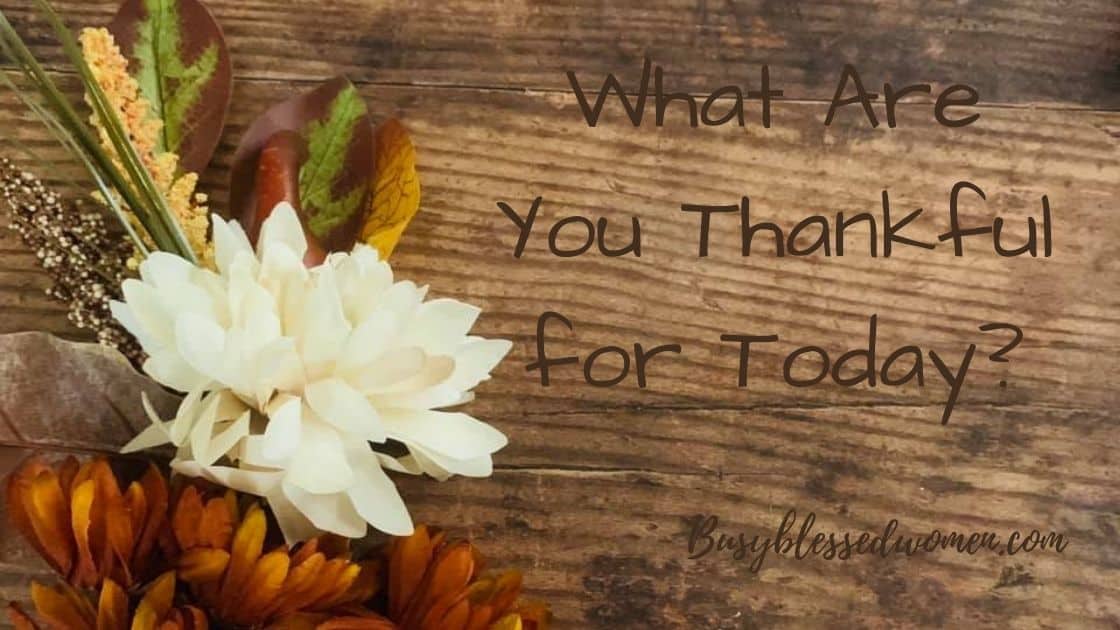 What Are You Thankful for Today?