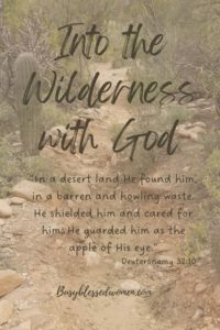 Meaning of Wilderness in the Bible