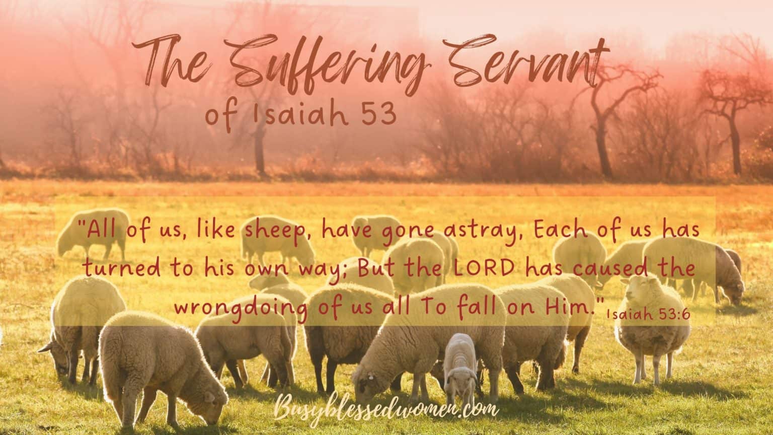 Busy Blessed Women - Bible Study For Busy Women