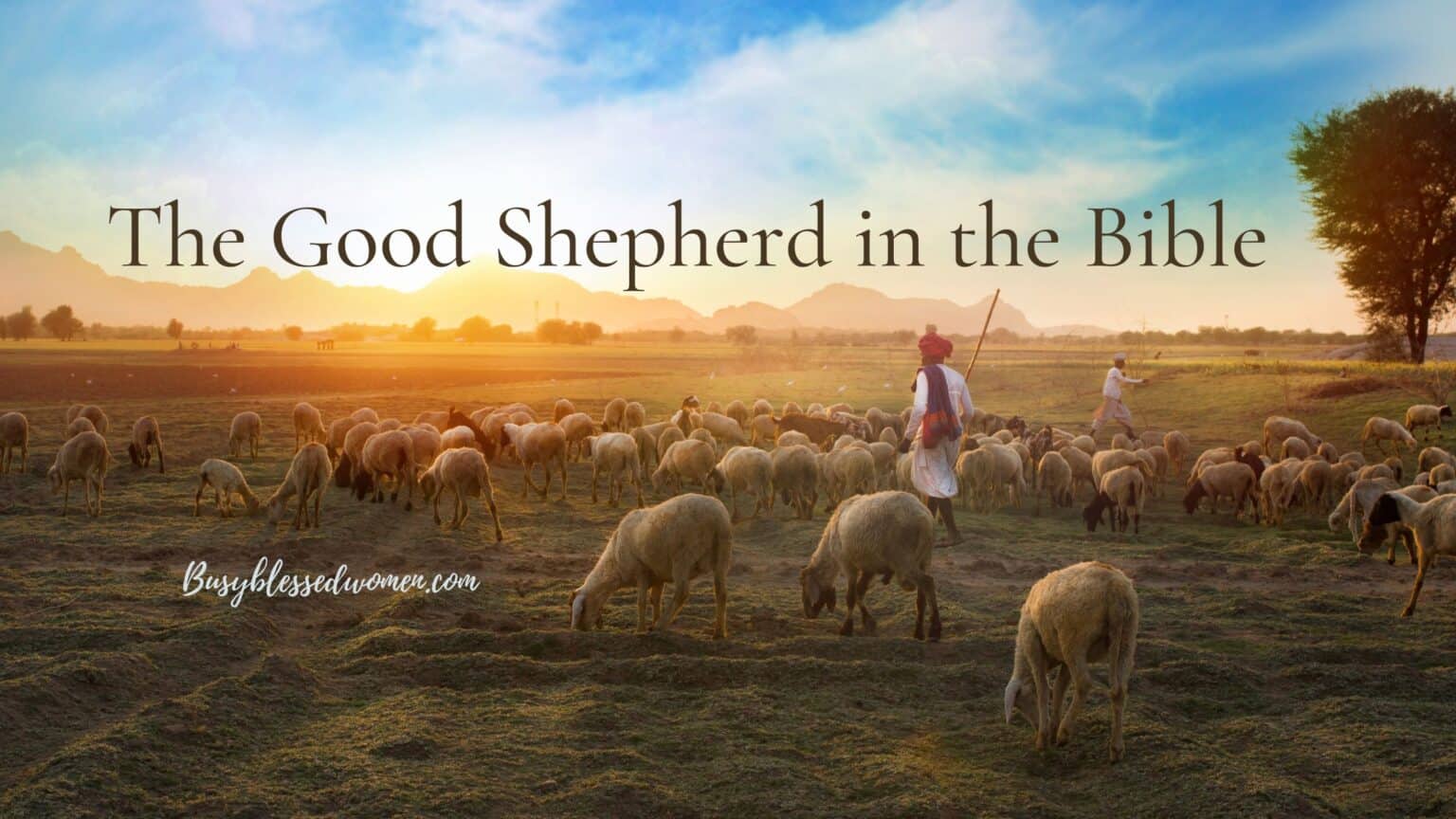 The Good Shepherd in the Bible- John 10:11-15