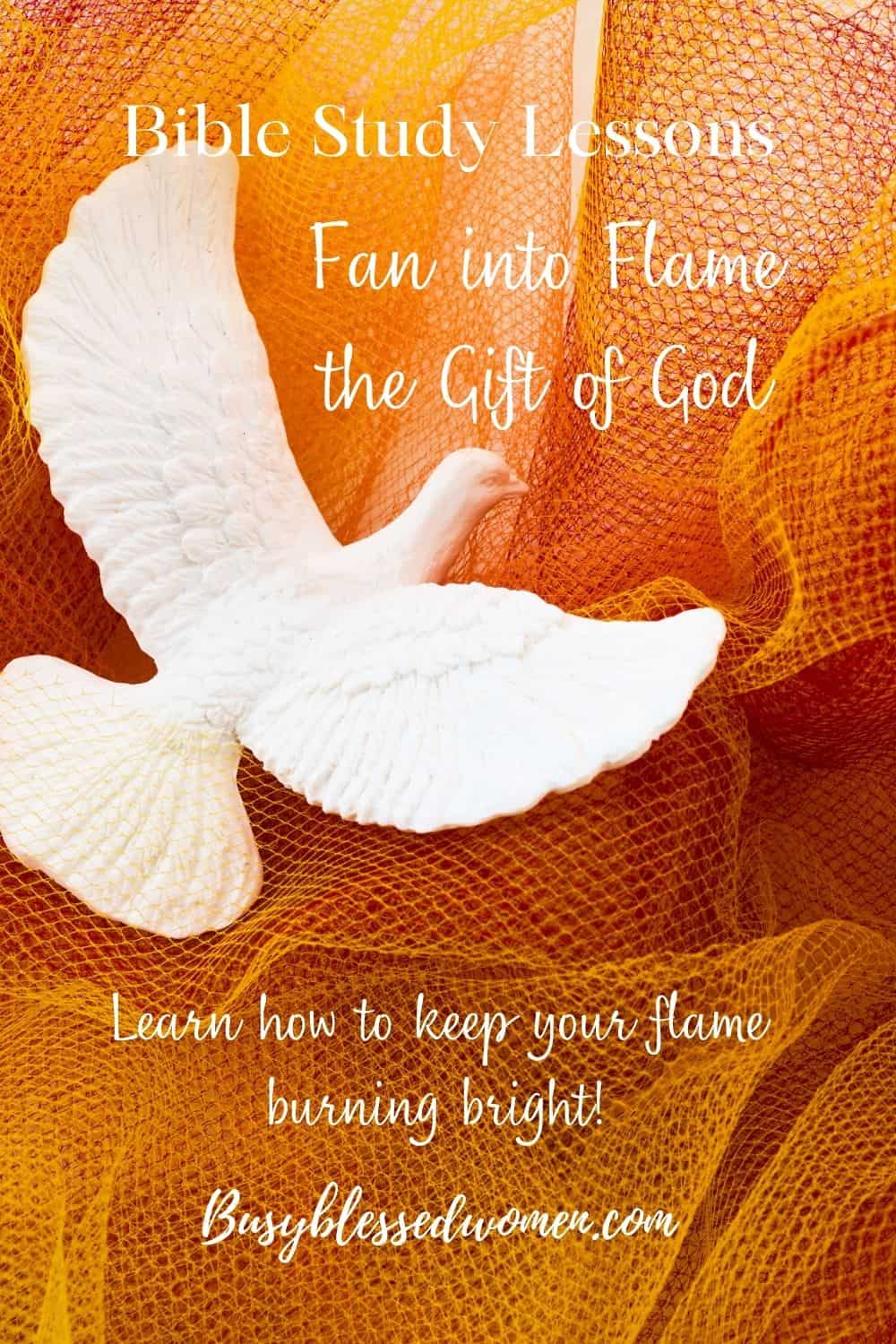 Fan Into Flame the Gift of God
