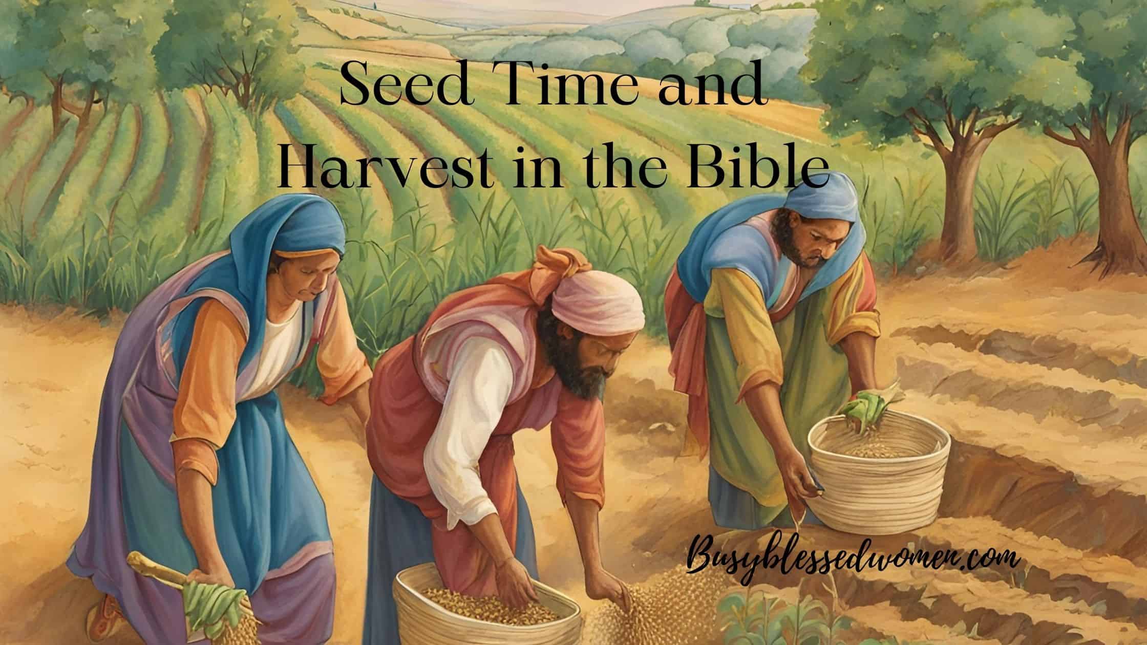 Teaching On Seed Time and Harvest in the Bible