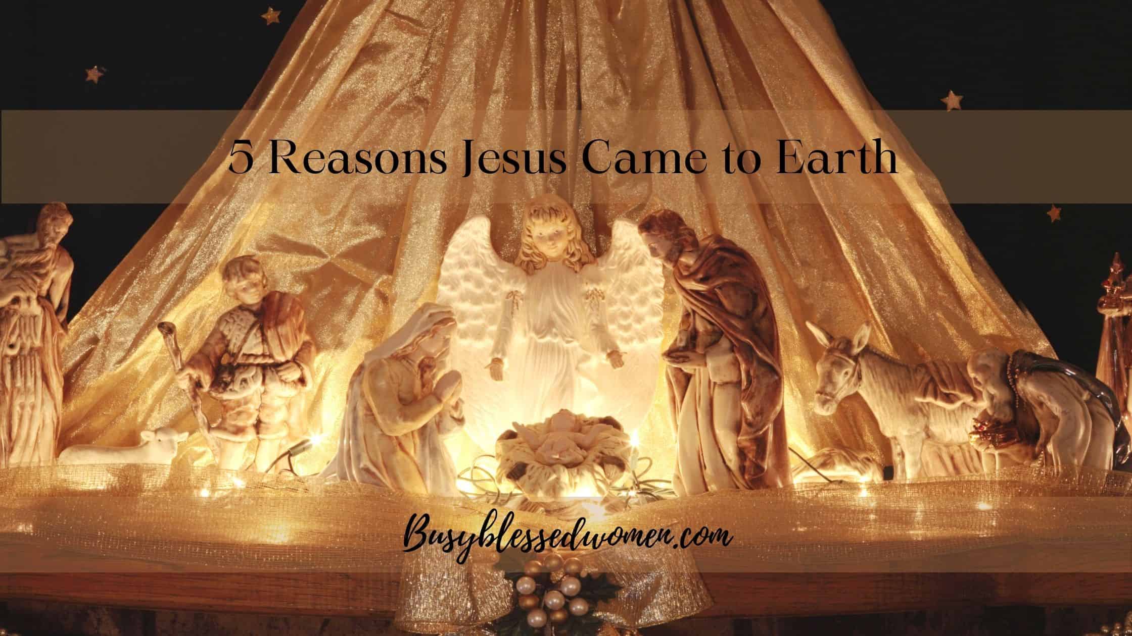 5 Reasons Jesus Came to Earth [With Bible Verses]