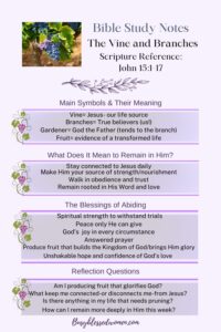 The Vine and Branches: Jesus' Teaching in John 15