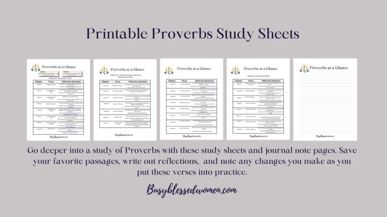 Summary of the Book of Proverbs: Wisdom for Everyday Life